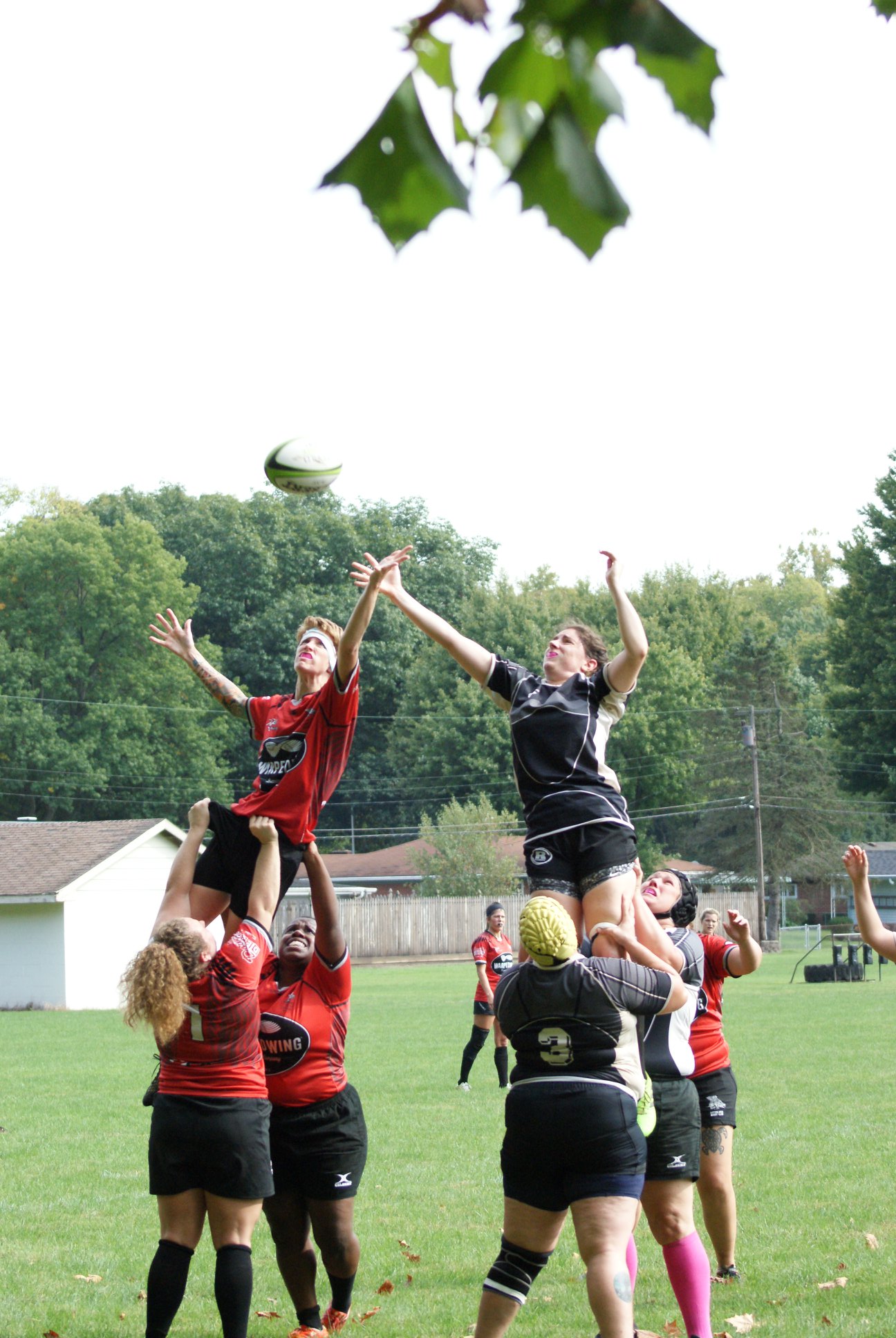 Media Gallery - Dayton Rugby